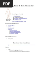 Muscle OIA: Chest, Neck, Back, Thigh | PDF | Vertebral Column | Vertebra