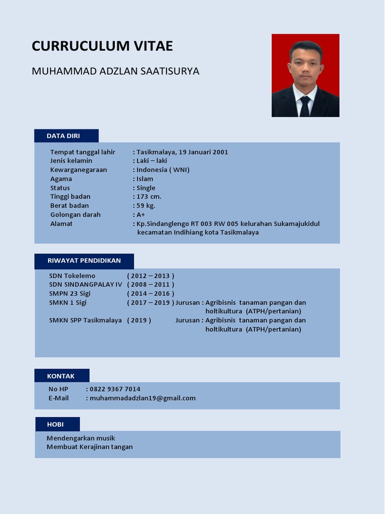 Contoh CV - Edit | PDF