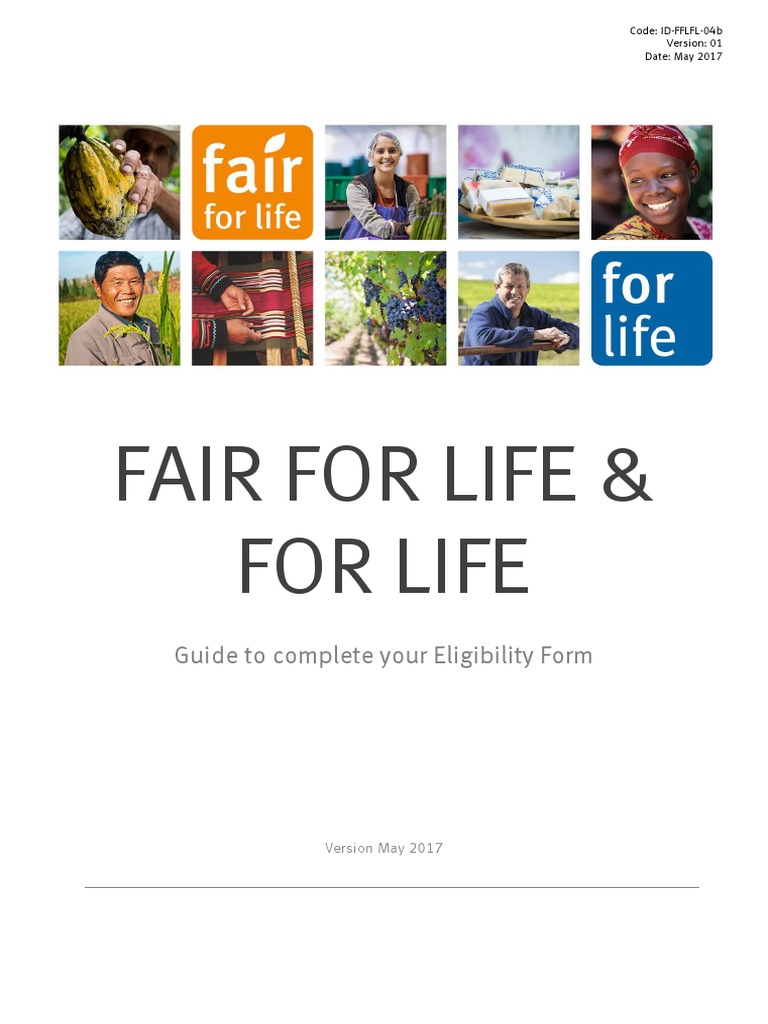 FFL & FL Guidance To Fill The Eligibility Form | PDF | Microsoft Excel ...