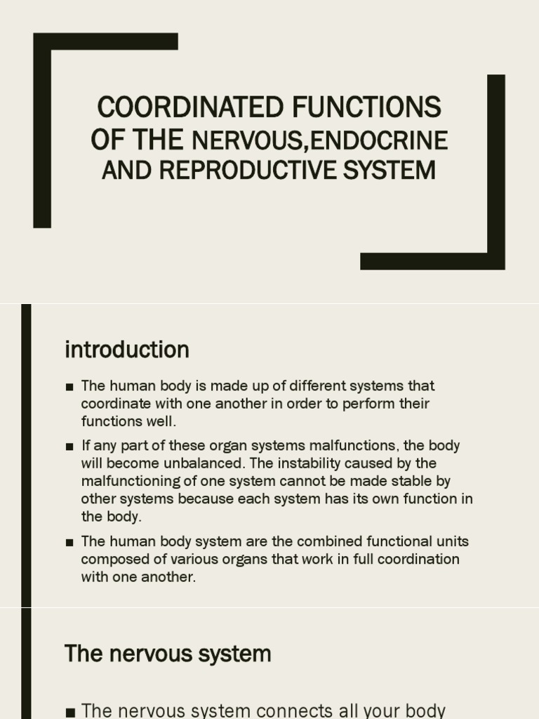 Coordinated Functions of The Nervous, Endocrine and Reproductive System | PDF | Nervous System ...