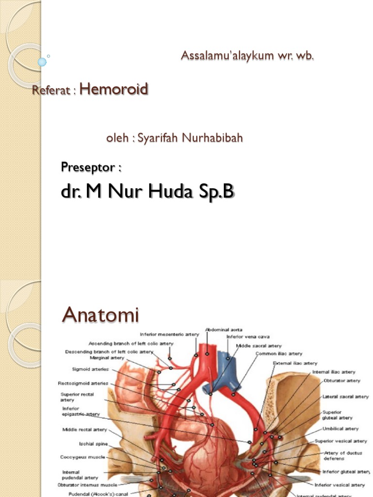 Anatomi dan Penanganan Hemoroid | PDF