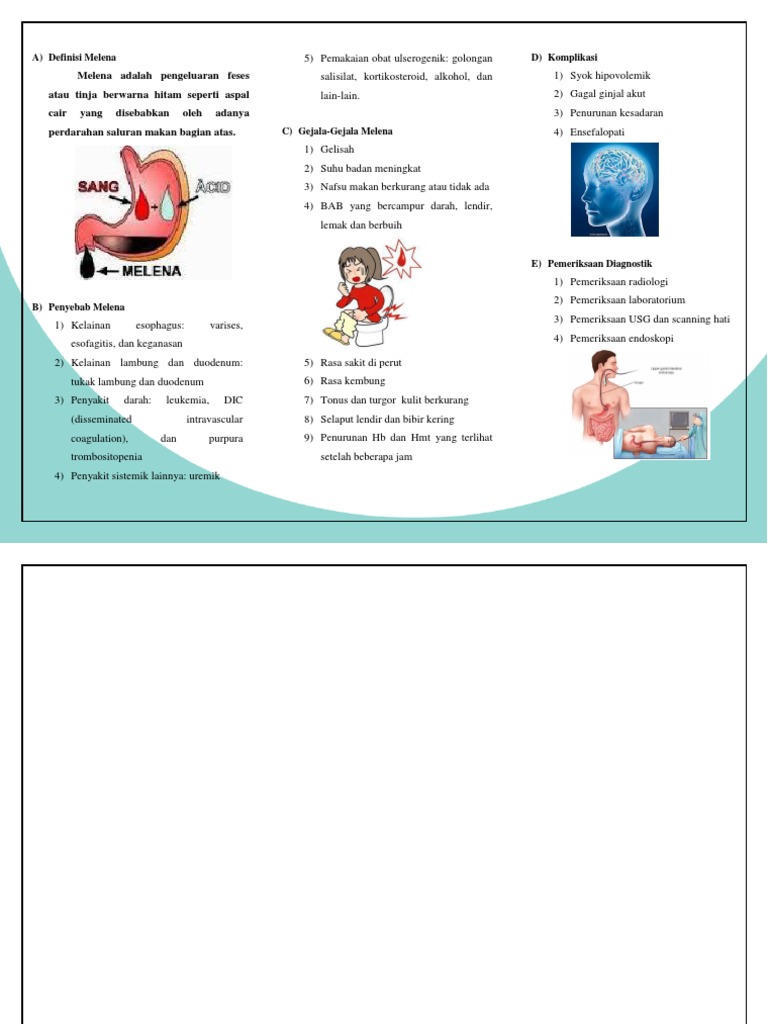 Leaflet Melena | PDF