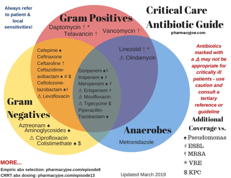 Visual Critical Care Antibiotic Guide 2019-2 | PDF | Beta Lactamase ...
