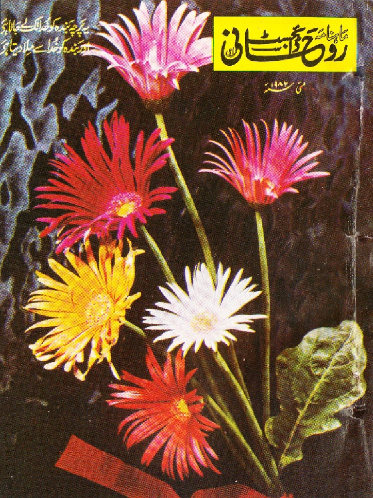 Roohani Digest 1982 05 May (Issue #042) | PDF