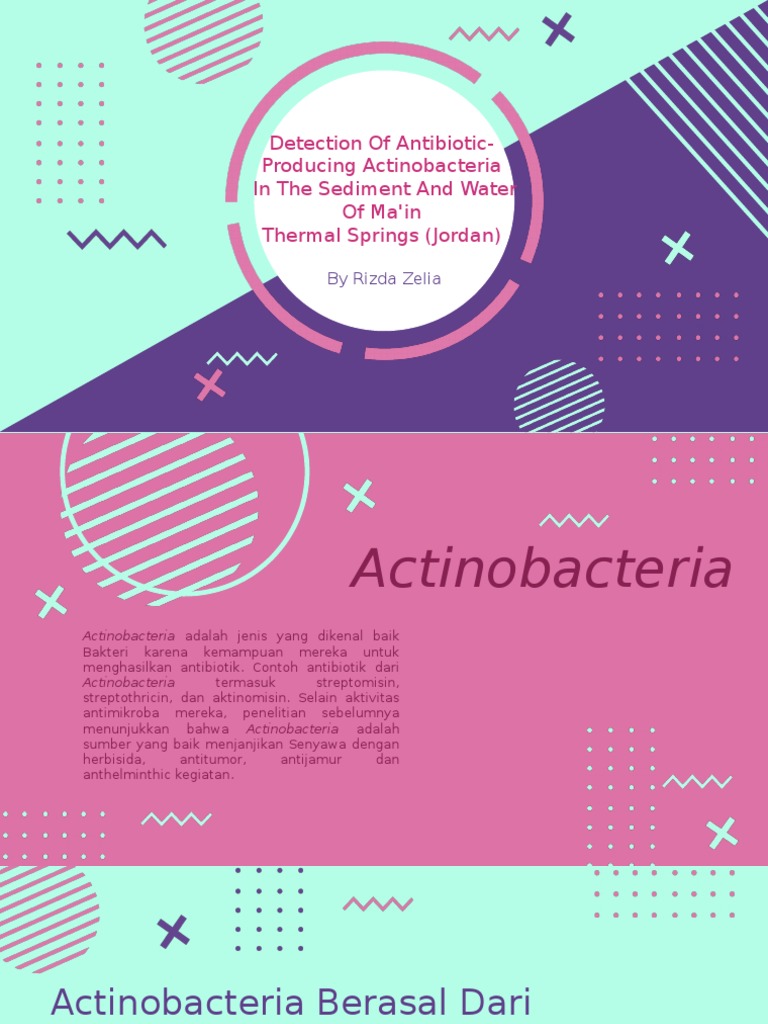 Actinobacteria | PDF | Griya & Taman | Kesehatan Holistik