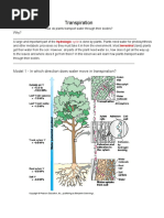 Amoeba Sisters Video Recap: ATP | PDF | Adenosine Triphosphate ...