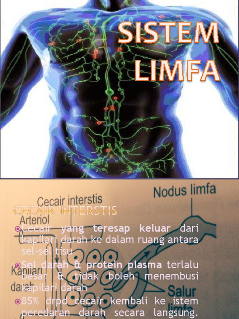 Sistem Limfa | PDF