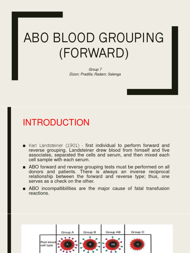 Ex3 Abo Forward Grouping Group7 | PDF | Blood Type | Animal Anatomy