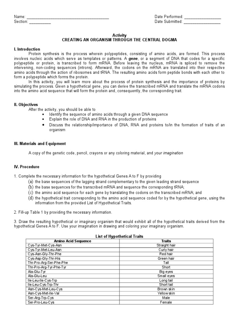Central Dogma Activity | PDF | Translation (Biology) | Gene