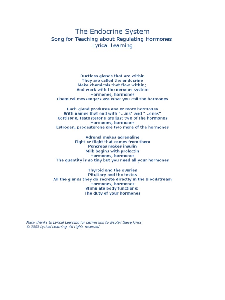 The Endocrine System Pdf