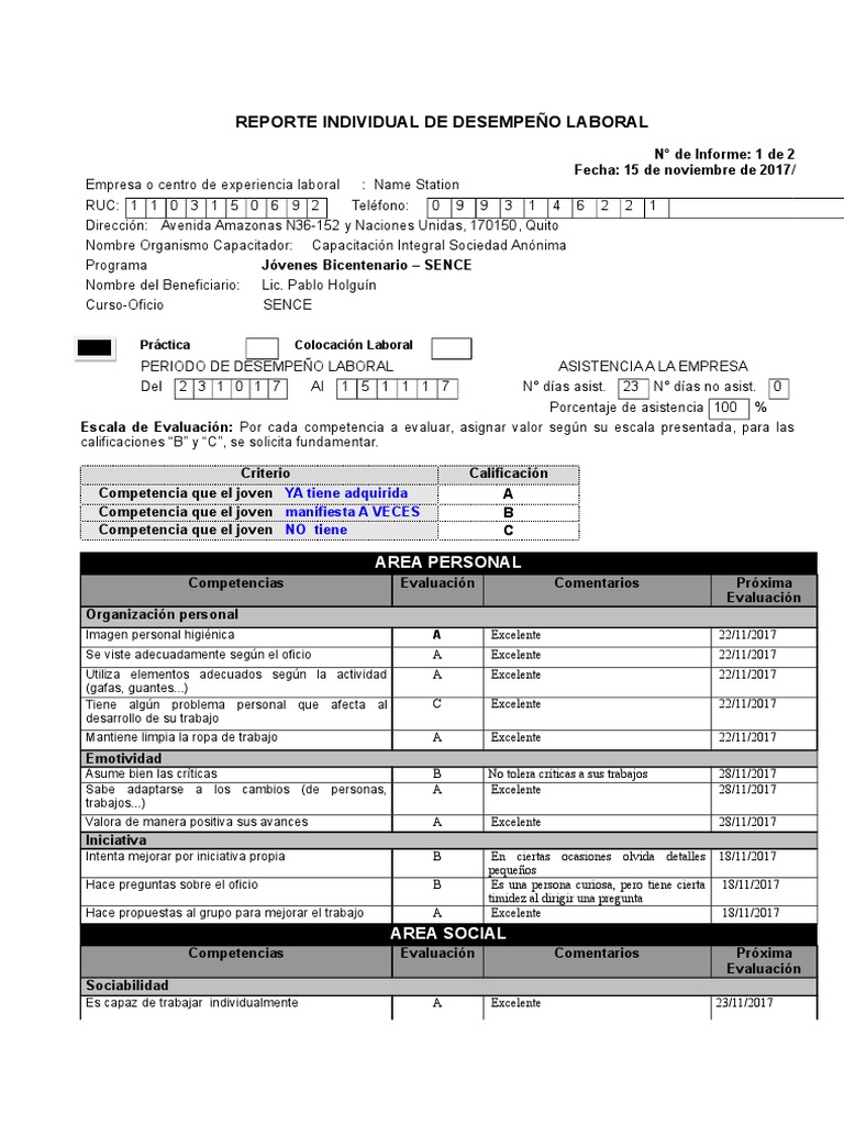 Reporte Individual de Desempeño Laboral | PDF | Evaluación | Sicología