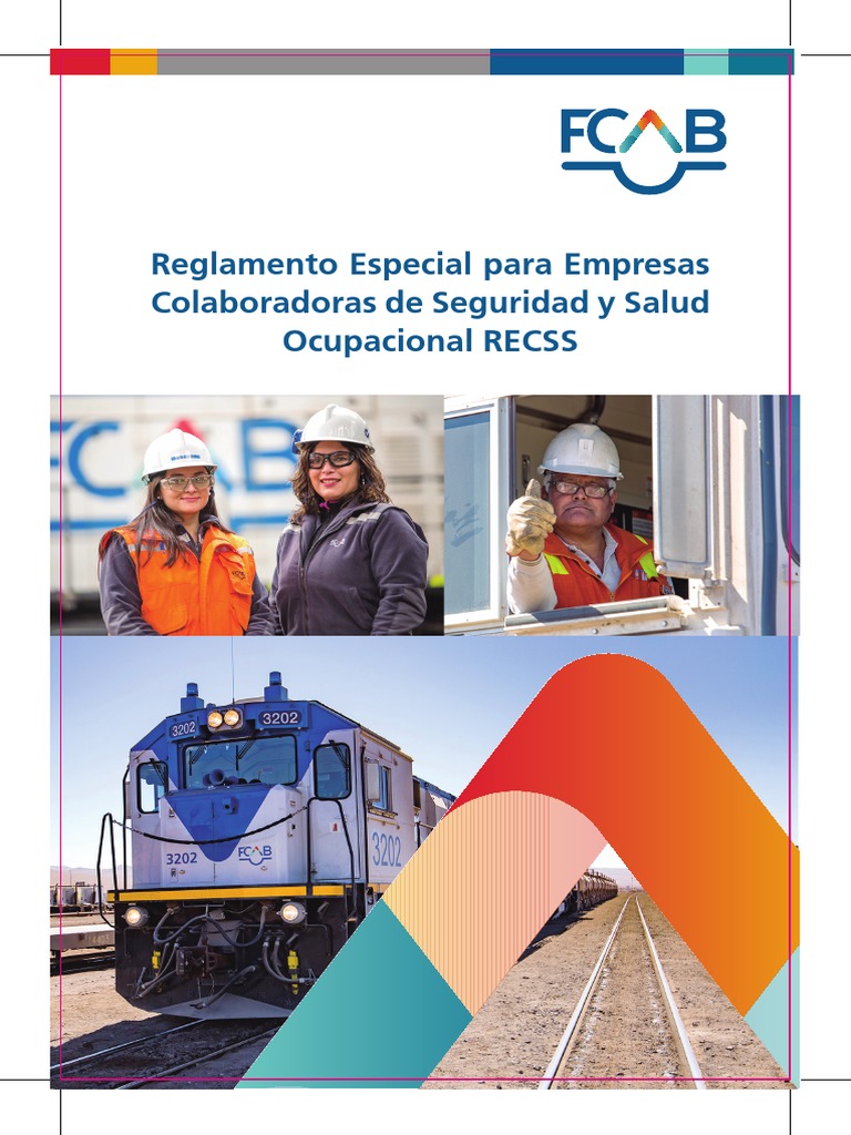 Recss - Fcab - 2019 | PDF | Seguridad y salud ocupacional | Planificación