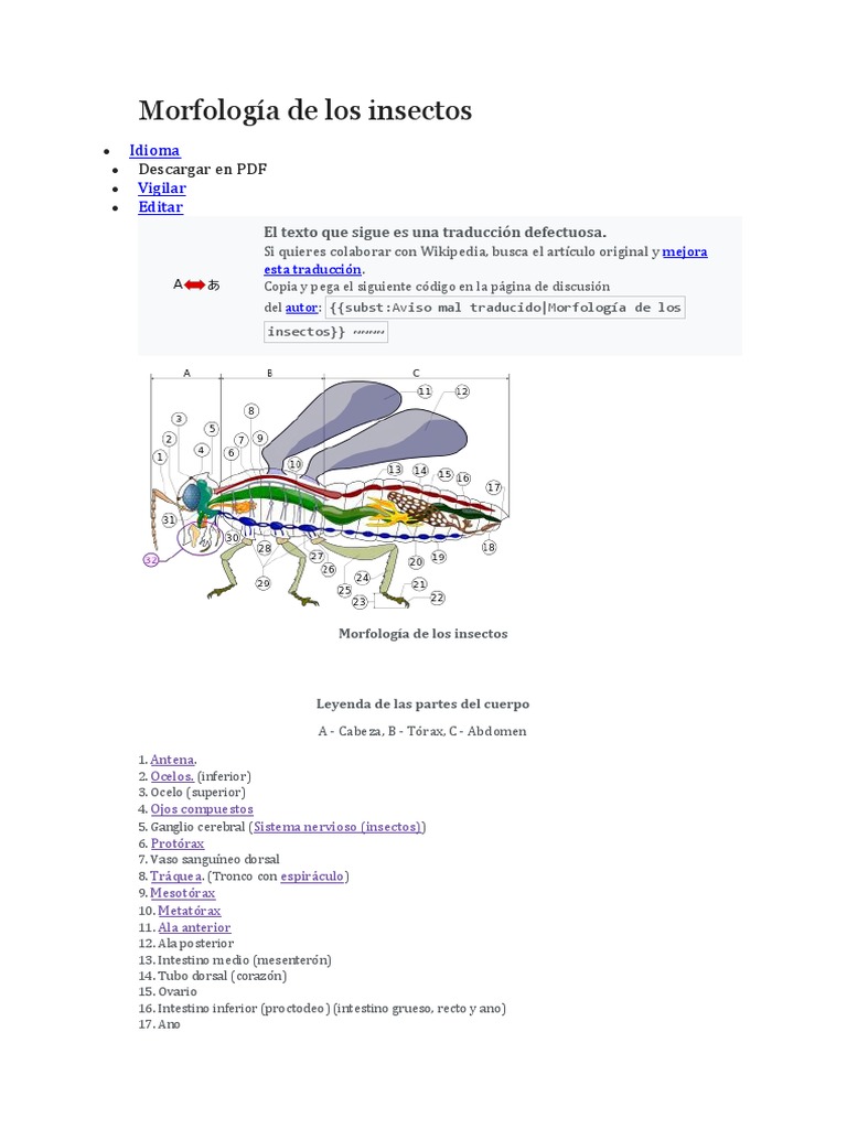 Morfología y anatomía de los insectos | PDF | Insectos | Artrópodos