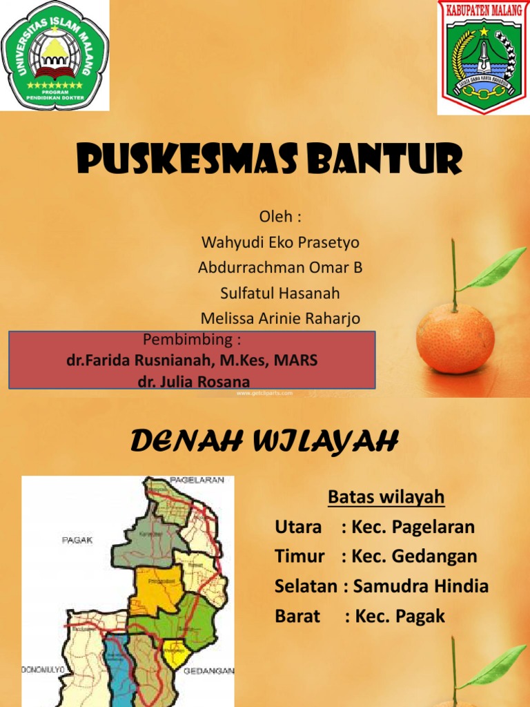Puskesmas Bantur | PDF