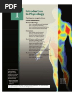 The Functional Mobility Scale Version 2 PDF | PDF | Wellness | Medical