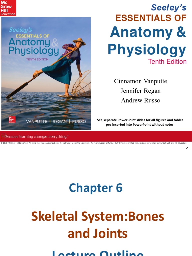 Ch06 Lecture Ppt A Pdf Bone Skull 