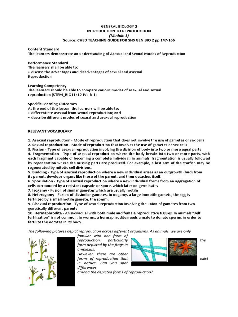 Module | PDF | Menstrual Cycle | Flowers