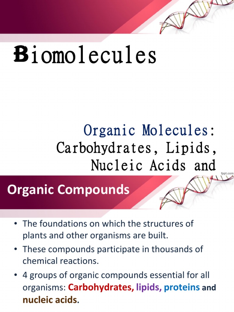 Biomolecules | PDF | Carbohydrates | Rna