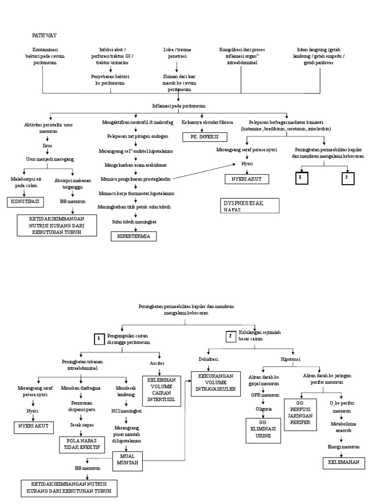 Pathway Peritonitis | PDF