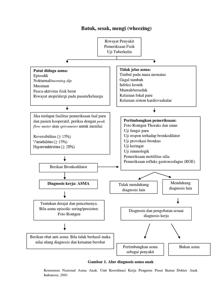 ALGORITMA DIAGNOSIS ASMA Dan Tatalaksana Jangka Panjang | PDF