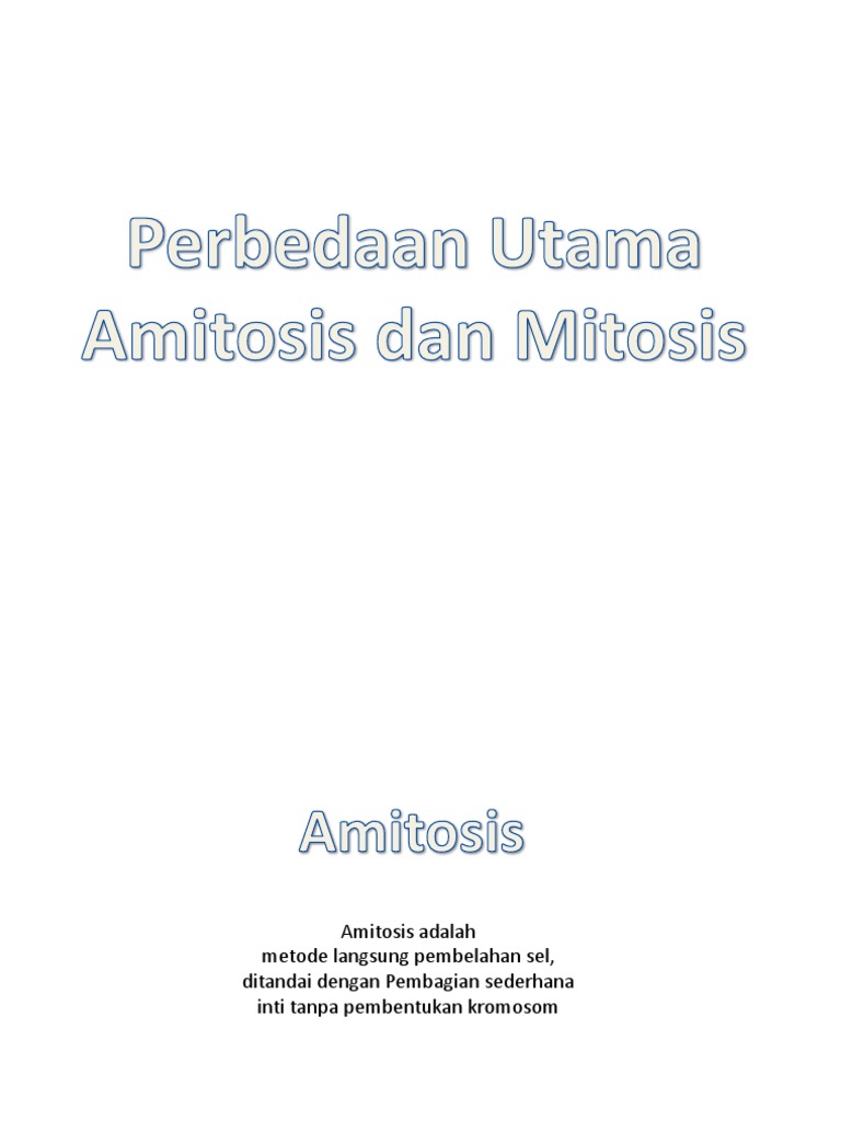 Amitosis Dan Mitosis | PDF