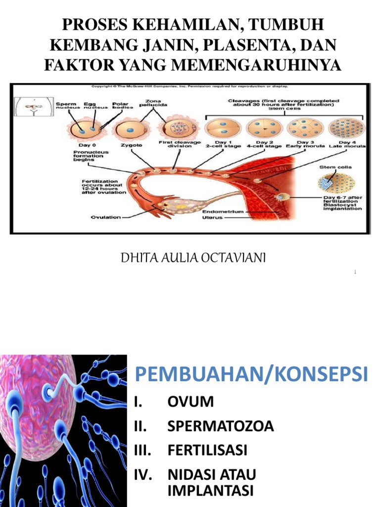 Fertilisasi Dan Nidasi | PDF | Sains & Matematika