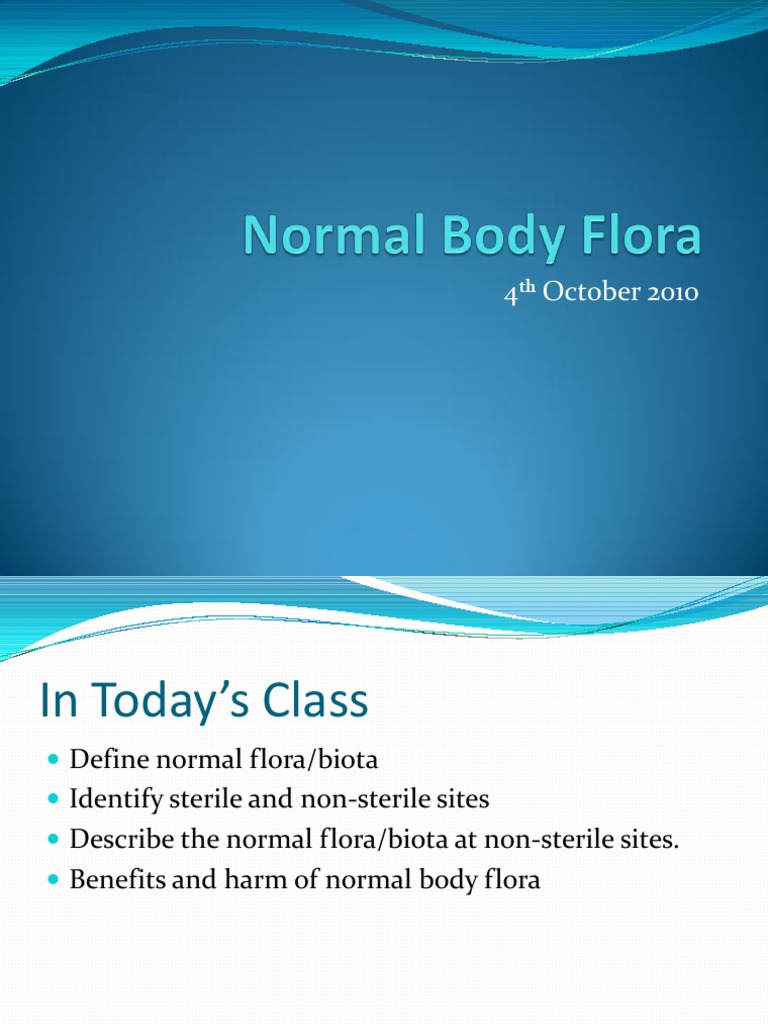 Normal Body Flora | PDF | Microbiota | Streptococcus