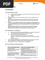 Kennings in Beowulf - Examples - (Cloze) | PDF | Beowulf