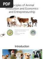 Laboratory-3 Reproductive System of Ruminants | PDF | Uterus | Penis