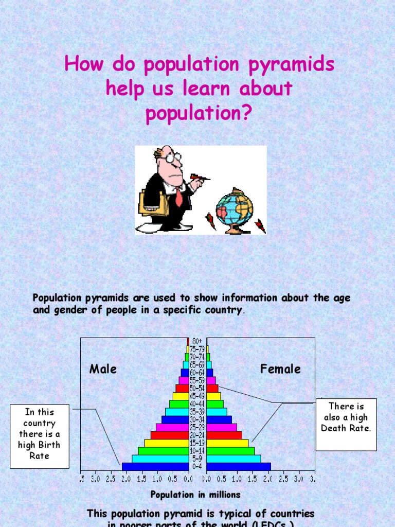How Do Population Pyramids Help Us Learn About Population? | PDF ...