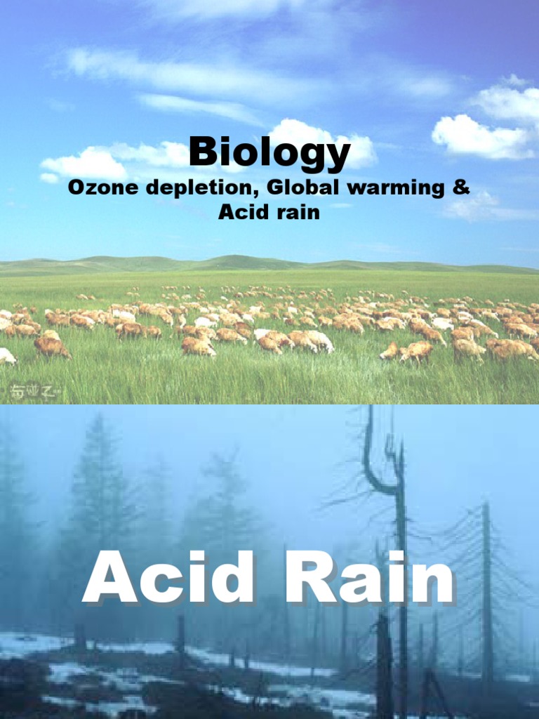 Biology: Ozone Depletion, Global Warming & Acid Rain | PDF | Natural ...