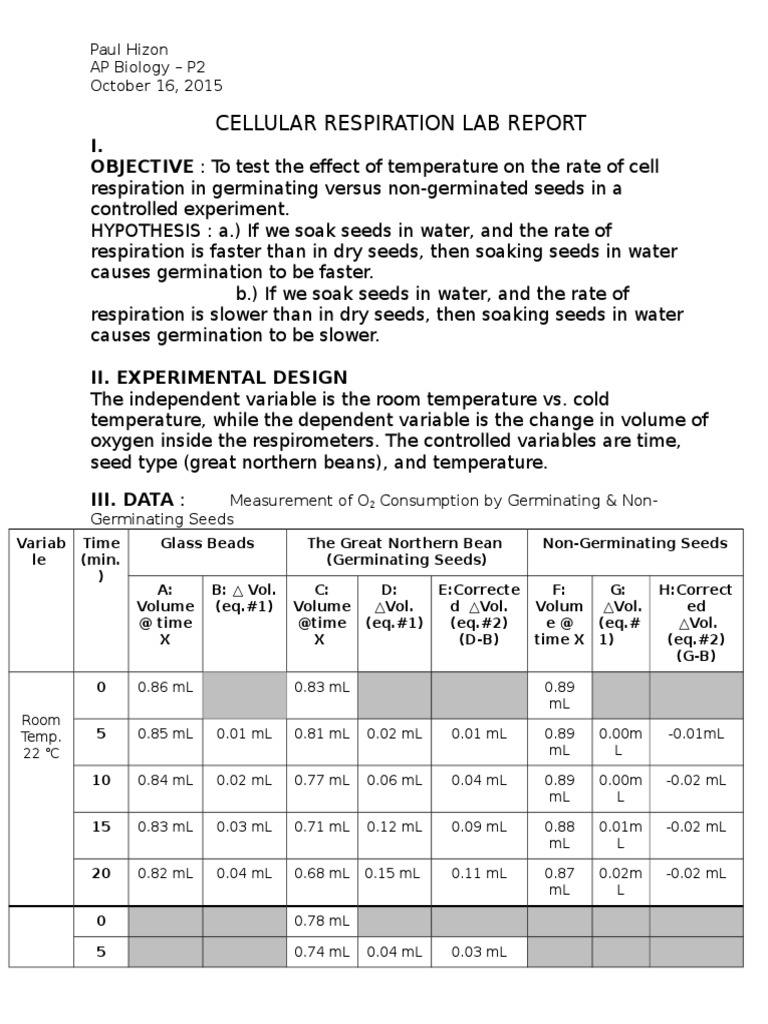 Cellular Respiration Lab | PDF | Germination | Bean