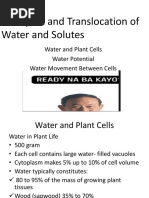 Flocon 100 (AS-100) : Product Information & Procedures | PDF | Chlorine ...