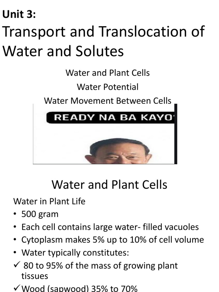 Water Movement Between Cells | PDF | Osmosis | Lipid Bilayer