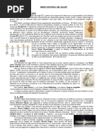 La Danza en La Prehistoria | PDF | Paleolítico | Homo Sapiens