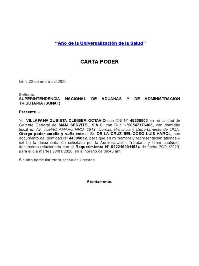 Carta Poder - Legalizar | PDF