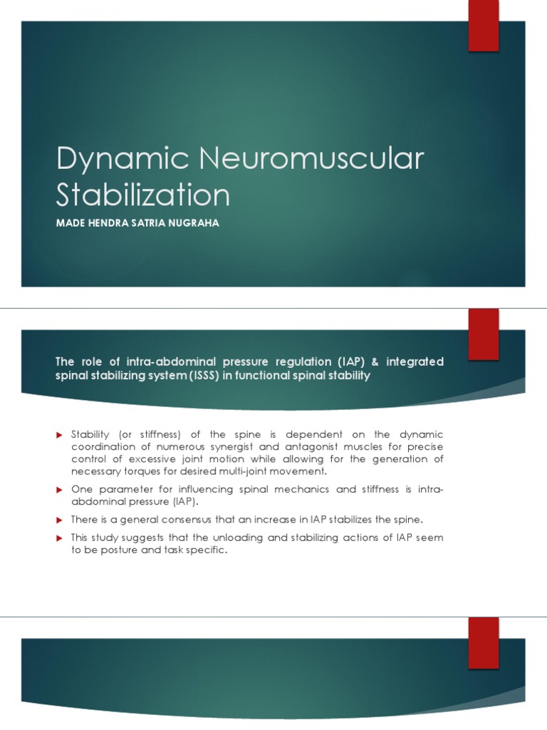 Dynamic Neuromuscular Stabilization Insights | PDF | Abdomen | Pelvis