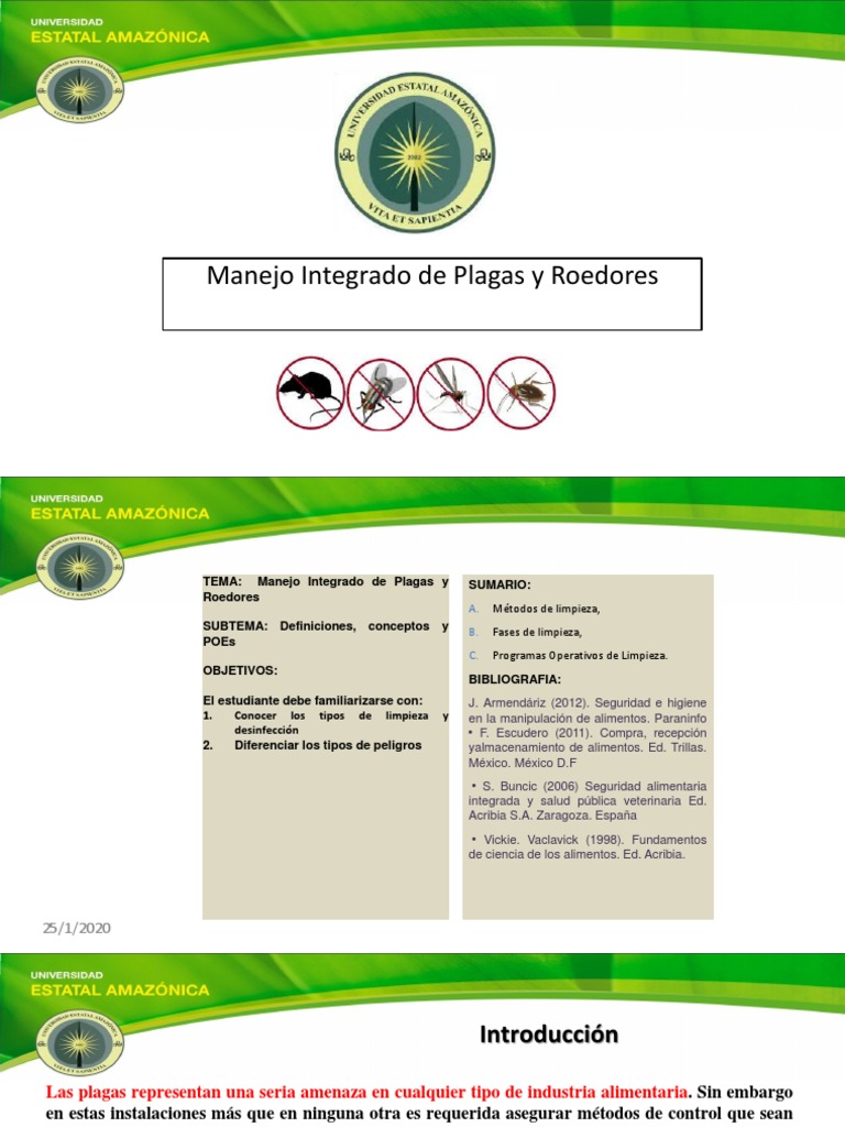 Plagas y Roedores | PDF | Plaga (organismo) | Insectos