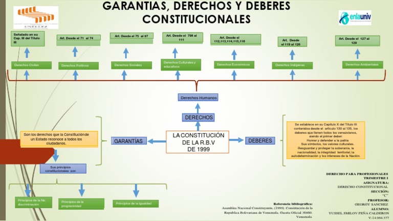 Esquema Derechos Deberes y Garantias | PDF | Derecho Constitucional | Derechos humanos