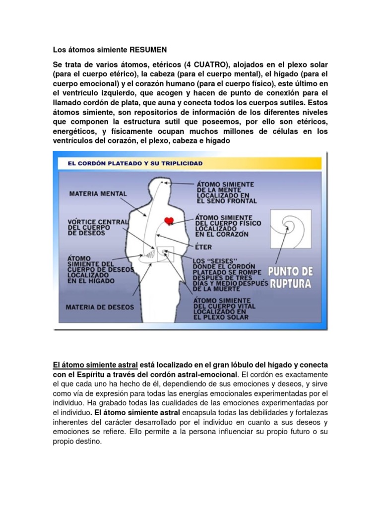 Los Átomos Simiente Resumen | PDF | Vida | Cráneo