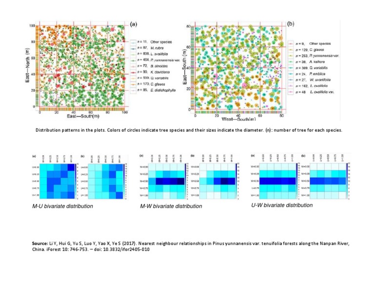 Spatial Pattern | PDF