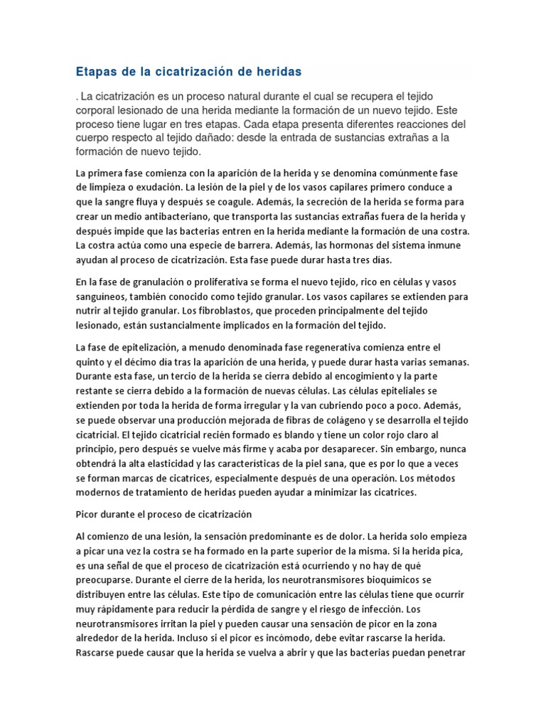 El Propósito de Mis Heridas | PDF | Cicatrización de la herida | Herida