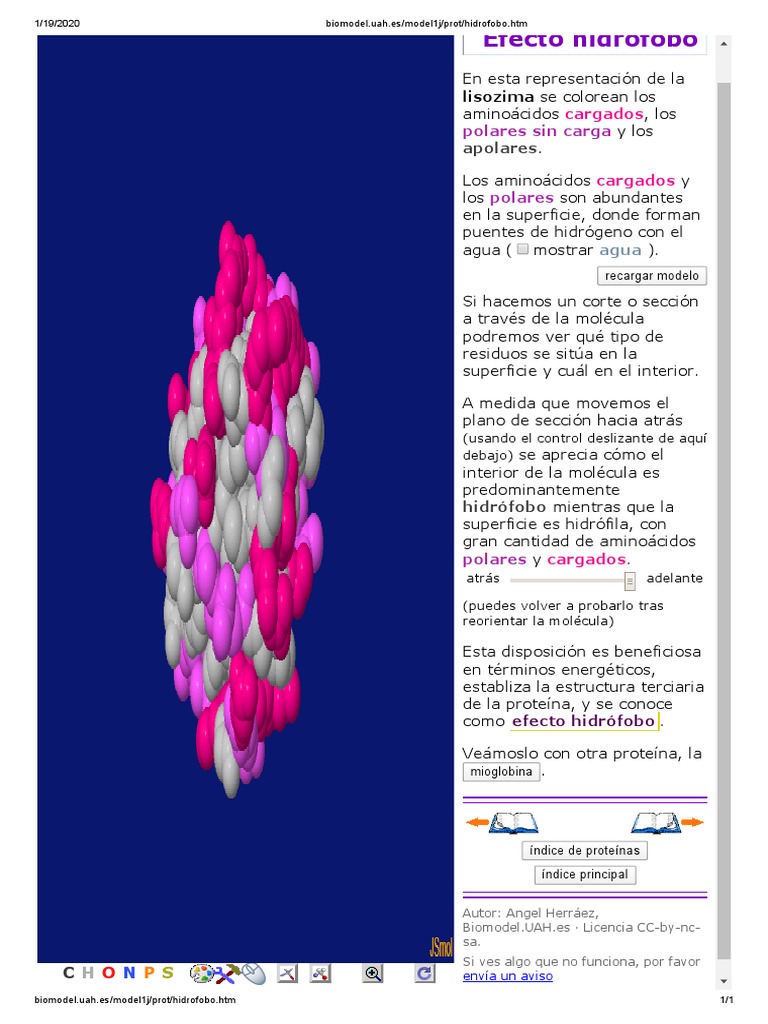 Hidrofobo | PDF | Biomoléculas | Biofísica Molecular