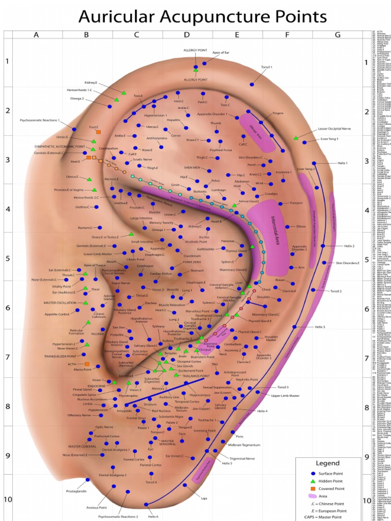 Ear Acupressure Points | PDF