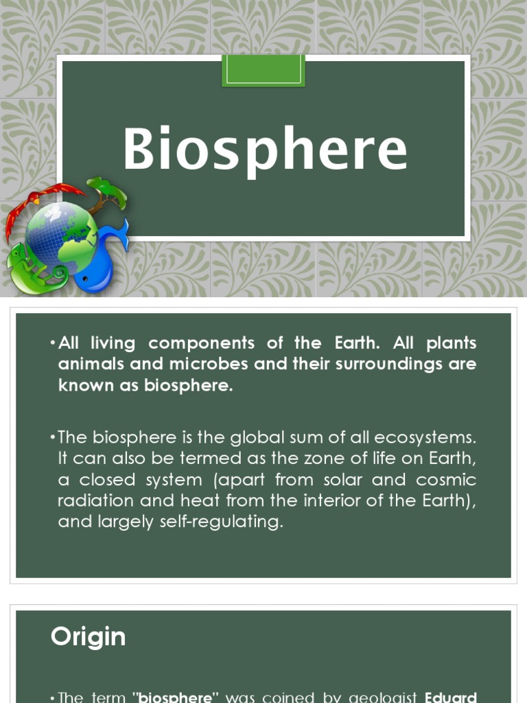 Biosphere | PDF | Food Web | Ecology