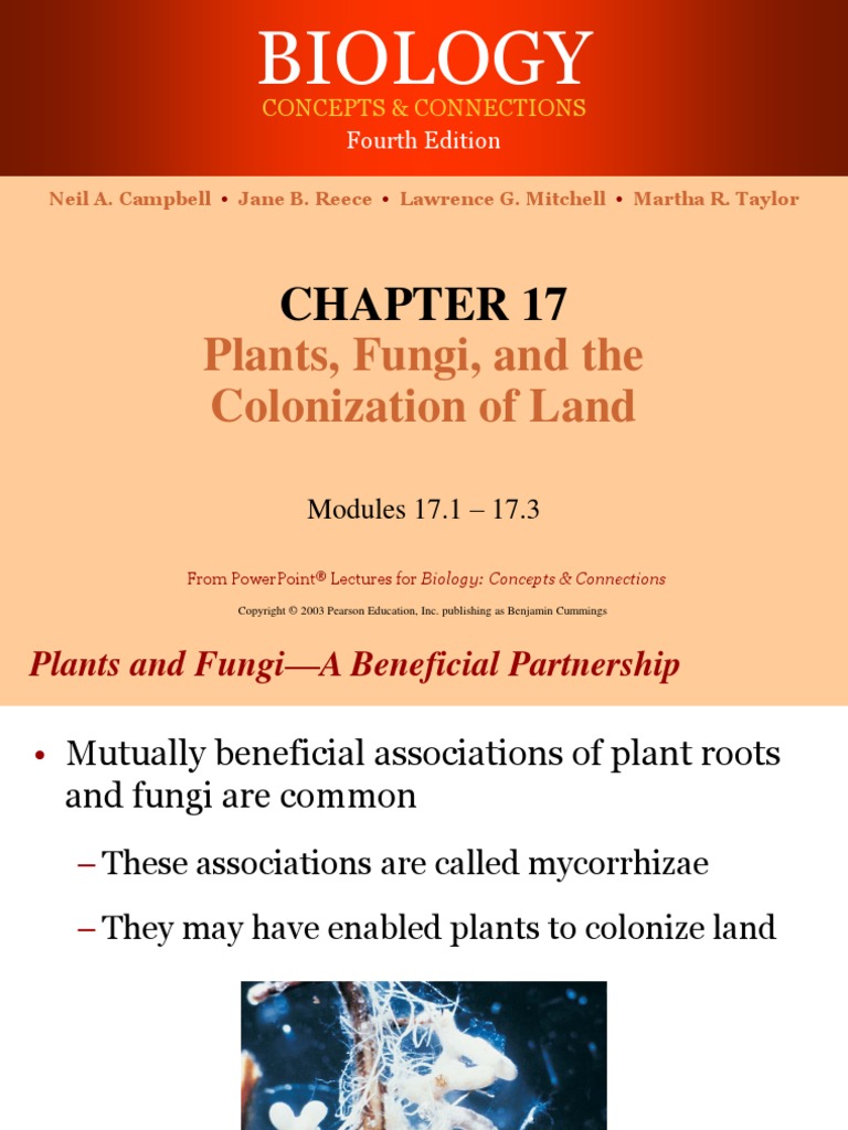 171 Plants - Fungi and Colonization of Land | PDF | Plants | Fern