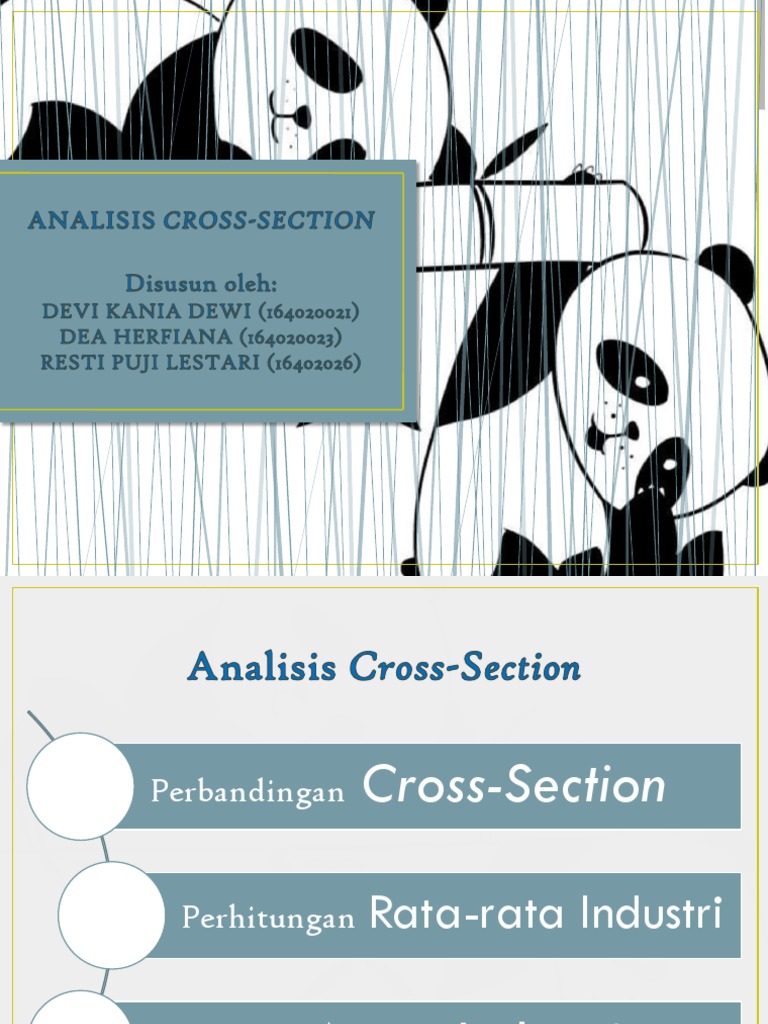 Analisis Cross-Section | PDF