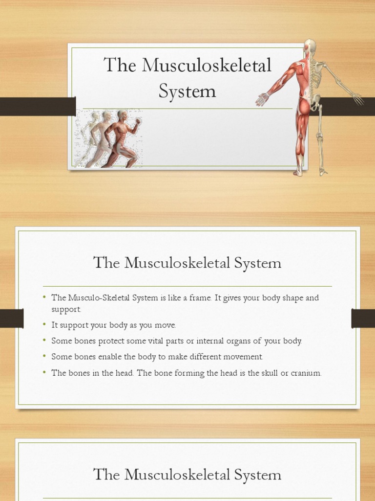 The Musculoskeletal System | PDF | Human Musculoskeletal System | Human ...