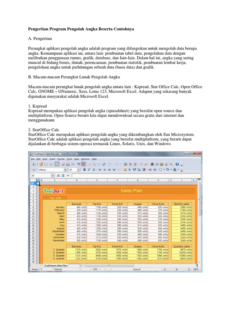 Program Pengolah Angka | PDF | Komputer | Teknologi & Rekayasa