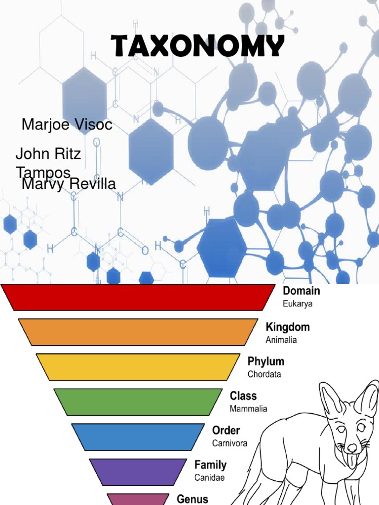Bio TAXONOMY | PDF | Taxonomy (Biology) | Genus